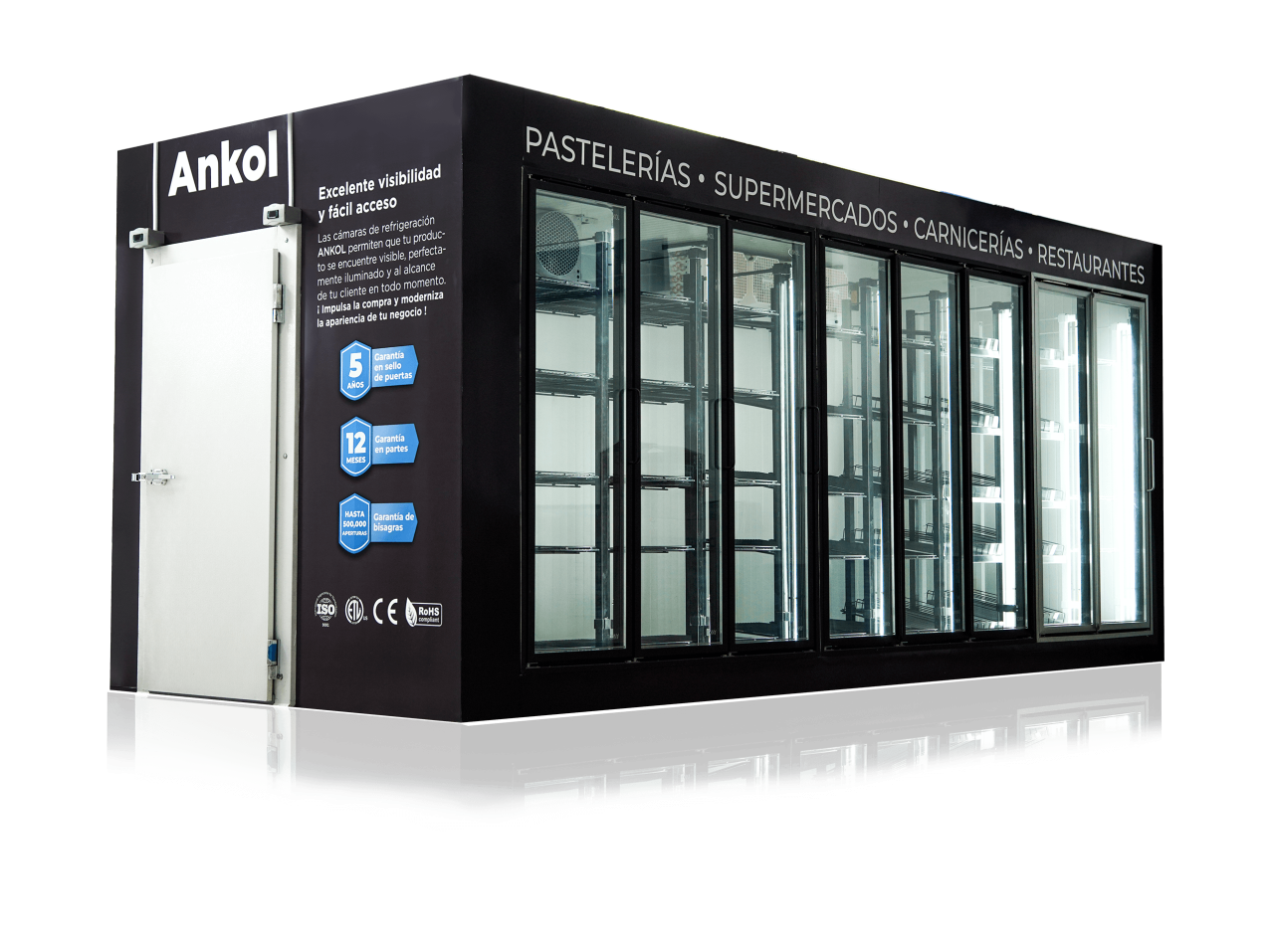 Ankol | Exhibición impecable, éxito garantizado