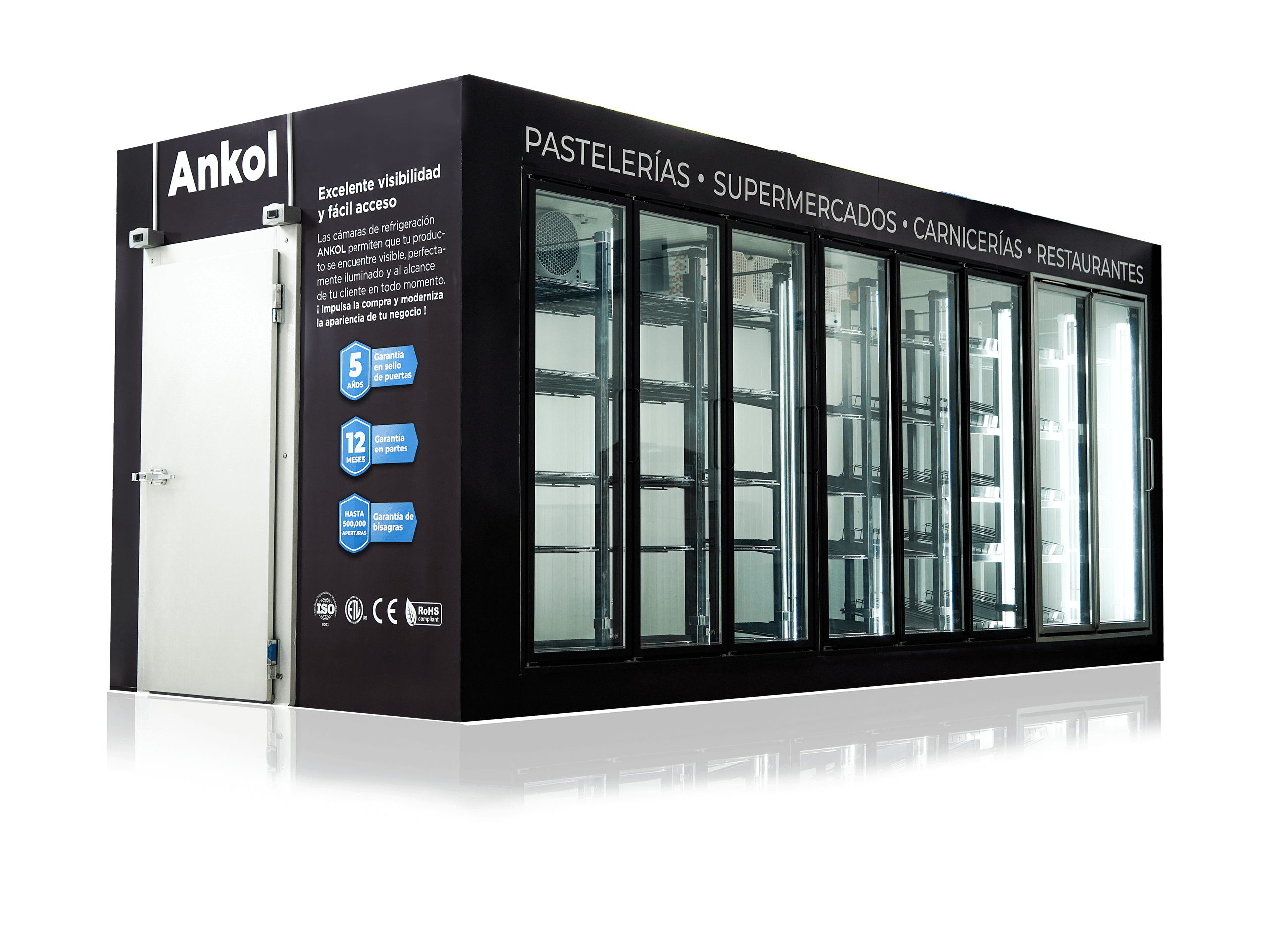 Ankol | Exhibición impecable, éxito garantizado